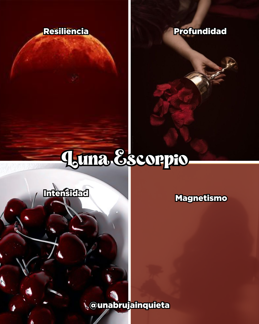 La Influencia de la Luna en los Signos del Zodíaco